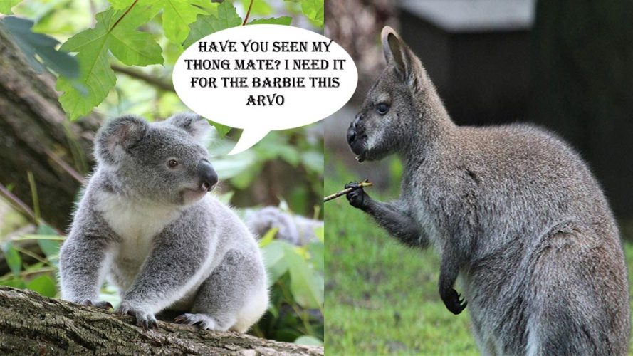 The 1 and only Ultimate Australian slang guide you'll need