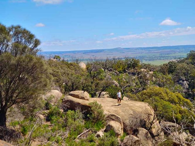 5 Great You Yangs walks plus running rock climbing biking