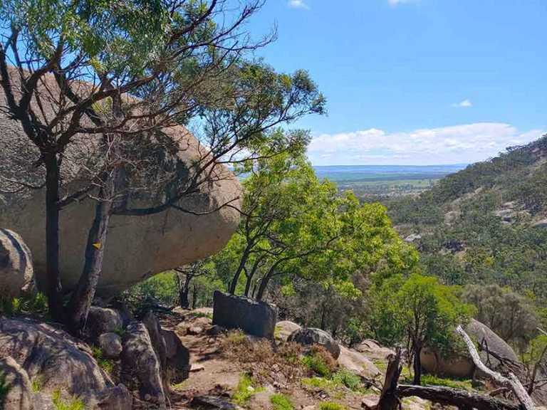 5 Great You Yangs walks plus running rock climbing biking