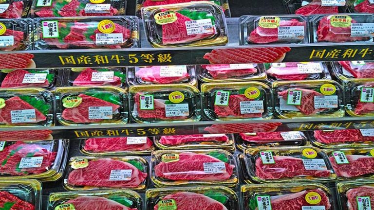 Ultimate 2 week Japan Itinerary covering everything you need