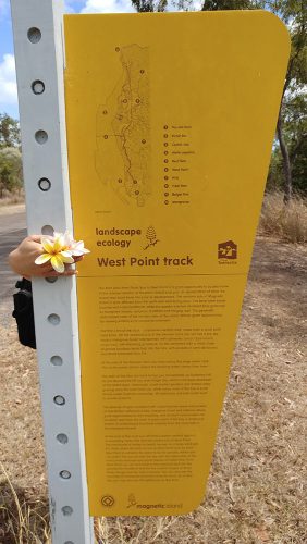 Magnetic Island the best 18 Walks and Beaches to visit.