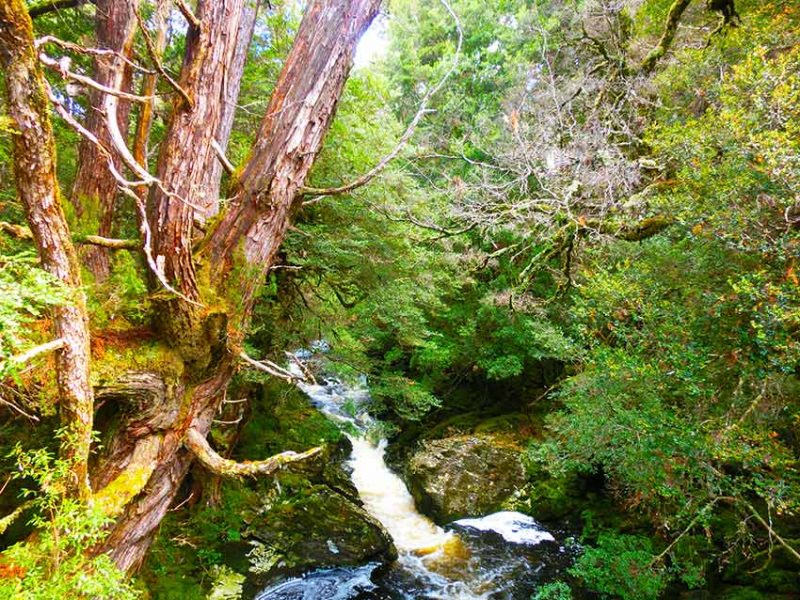 5 things you must do in Tasmania. Outstanding natural beauty