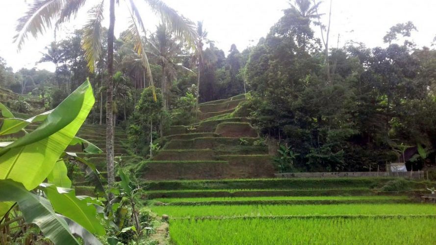 The 10 best things to do in Java Indonesia